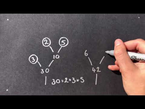 Drawing a Factor Tree Example