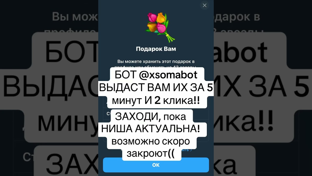 ТГ @xsomabot