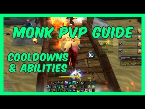 Steam Community :: Video :: Monk PVP Guide - Cooldowns & Abilities