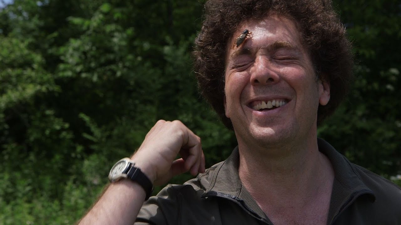 David Rothenberg, John Cooley and the New York Times – Cicada Mania