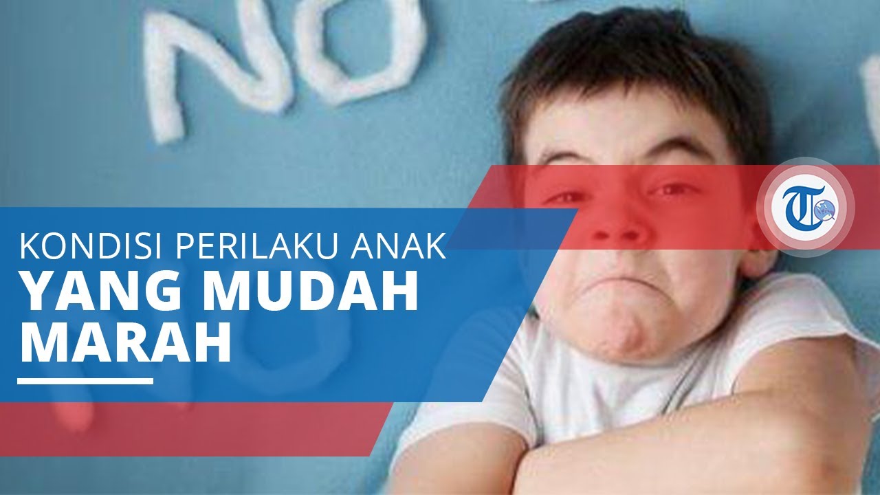 Oppositional Defiant Disorder (ODD), Kondisi Perilaku Anak Ditandai ...