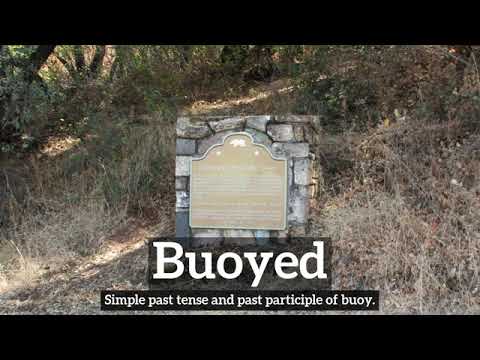 What is Buoyed? | How to Say Buoyed in English? | How Does Buoyed Look?