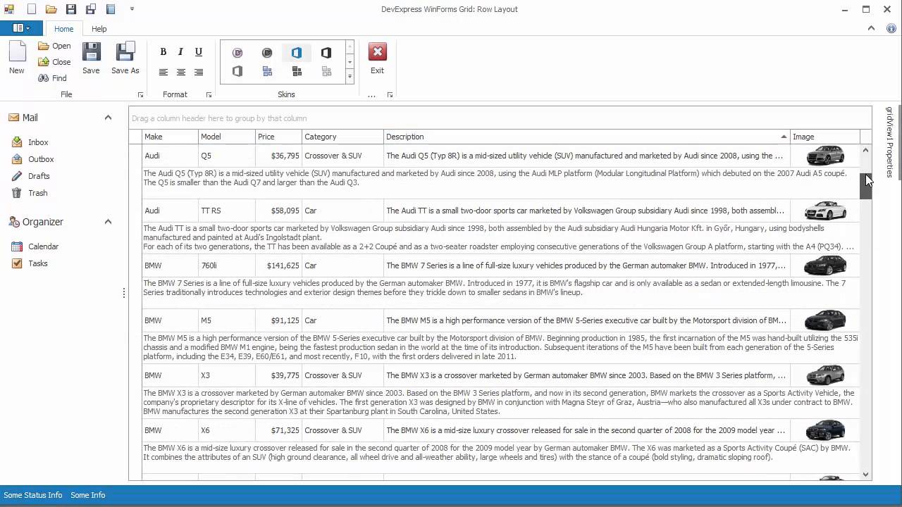 DevExpress WinForms Grid: Row Preview Sections