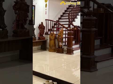 Bibi opens the door for Dad #babymonkey #monkey #viral #monkeybibi #bibi #shorts
