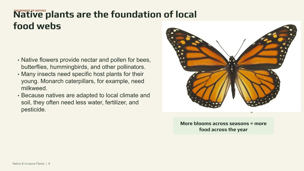 Native_and_Invasive_Plants.pptx