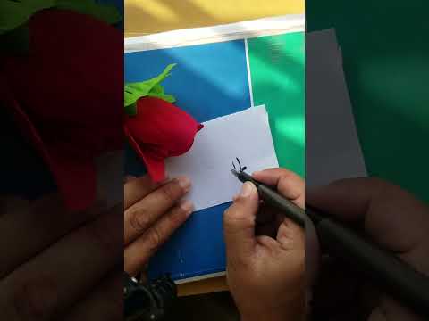 Girls Name calligraphy Tahira Ashraf #shorts #arabiccalligraphy #namecalligraphy
