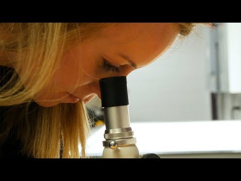 Materials Science and Engineering: Outcomes and Employment