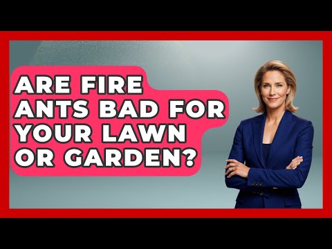 Are Fire Ants Bad For Your Lawn Or Garden? - Insects and Invaders