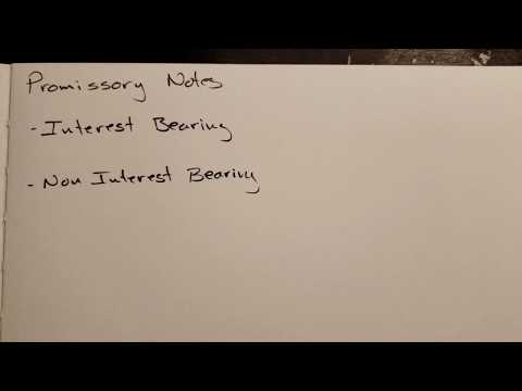 Non-Interest Bearing Notes