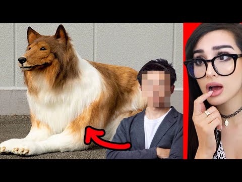 Man Spends $20000 to look like DOG