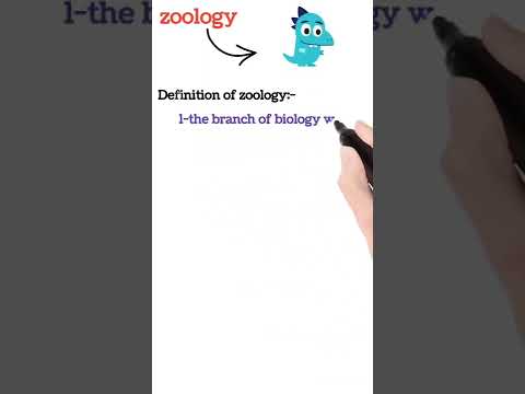 what is zoology???
