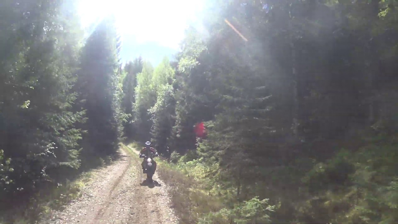 Gräsmark 2019 Grussafari