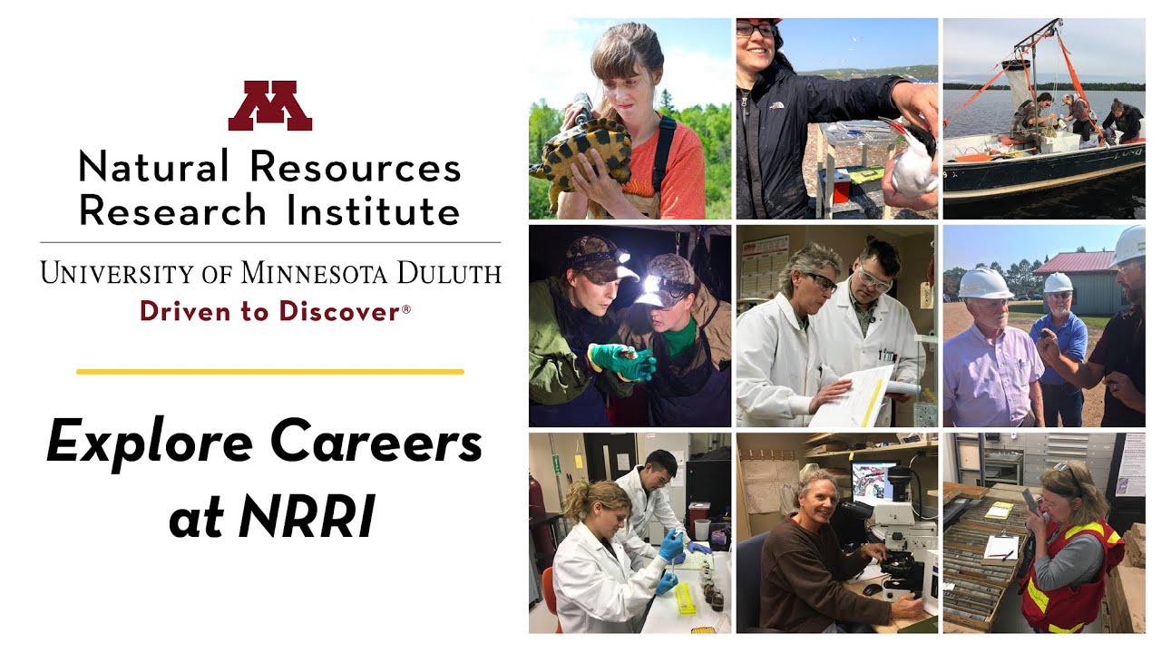 Do you want your work to have real impact? Explore career opportunities at NRRI.