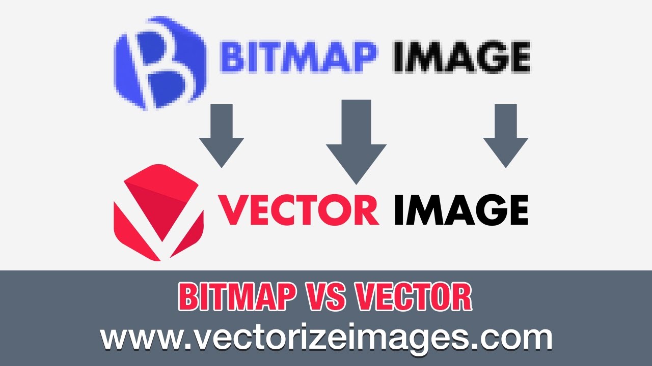 The Difference Between Vector and Bitmap Images