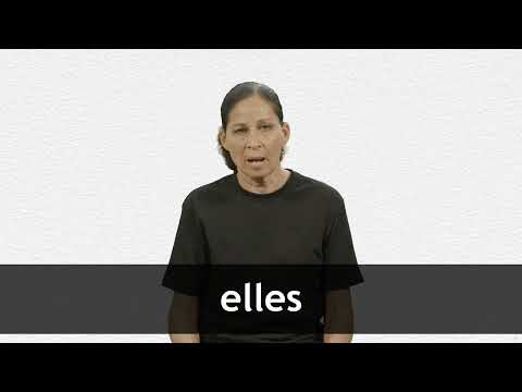 English Translation of “ELLES” | Collins French-English Dictionary