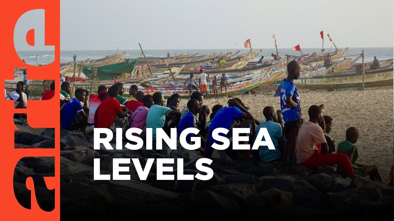 Senegal: Building Sea Walls - Documentarytube.com