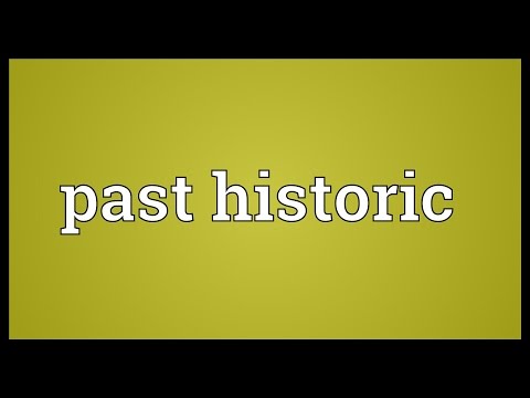 Past historic Meaning