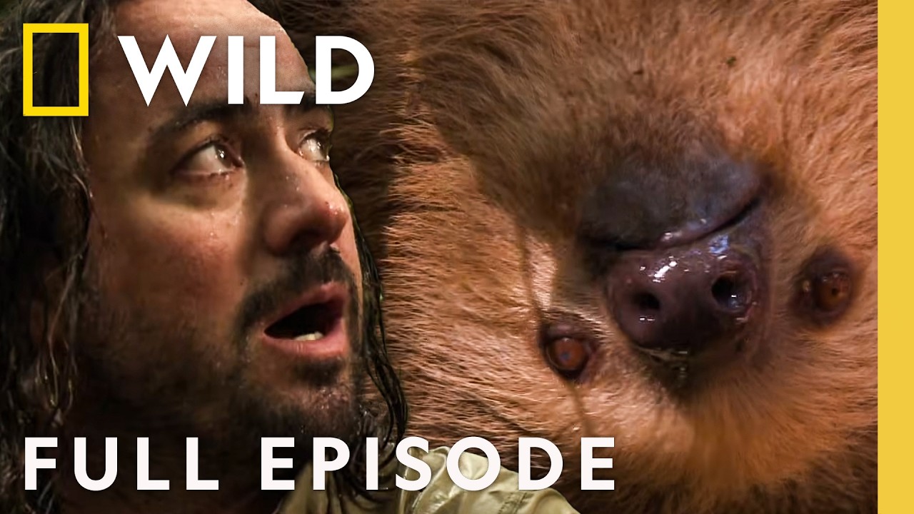 The Brazilian Bigfoot: Finding the Mapinguari (Full Episode) | Man v. Monster | Nat Geo Animals