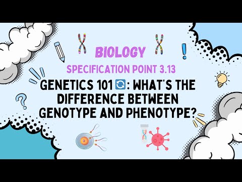GCSE Biology - Key Genetic Terms Explained | Chromosome, Gene, Allele, Genotype & Phenotype