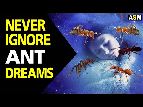 What does Ant dream meaning | Dreaming of ants mean | Ants dream interpretation