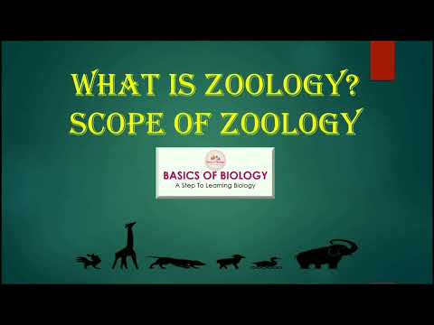 What is Zoology? | Scope of Zoology | Importance and branches of Zoology | Basics Of Biology