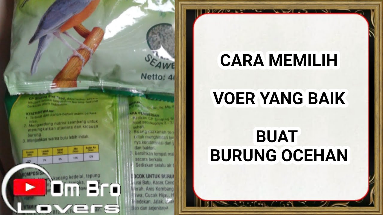 10 Rekomendasi Voer Terbaik yang Sehat dan Bergizi untuk Makanan Burung ...