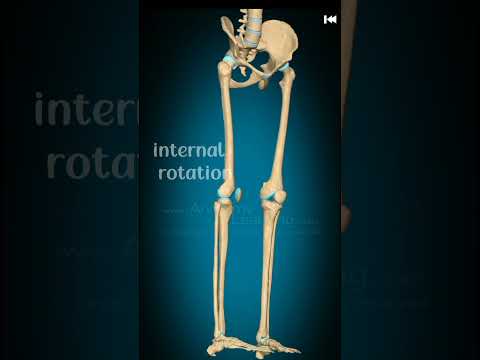Internal and external rotation of hip joint
