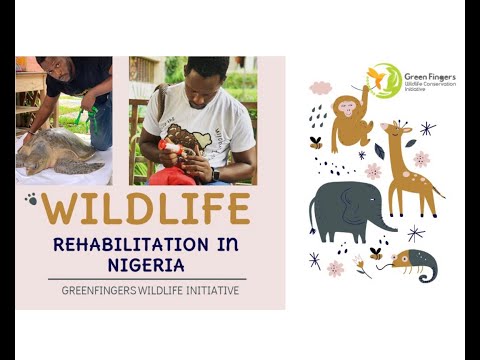 Wildlife Rehabilitation in Nigeria