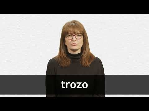 English Translation of “TROZO” | Collins Spanish-English Dictionary