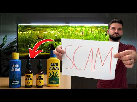 Anti Algae Chemicals Are a SCAM & 9 Natural Alternatives to Get Rid of Algae