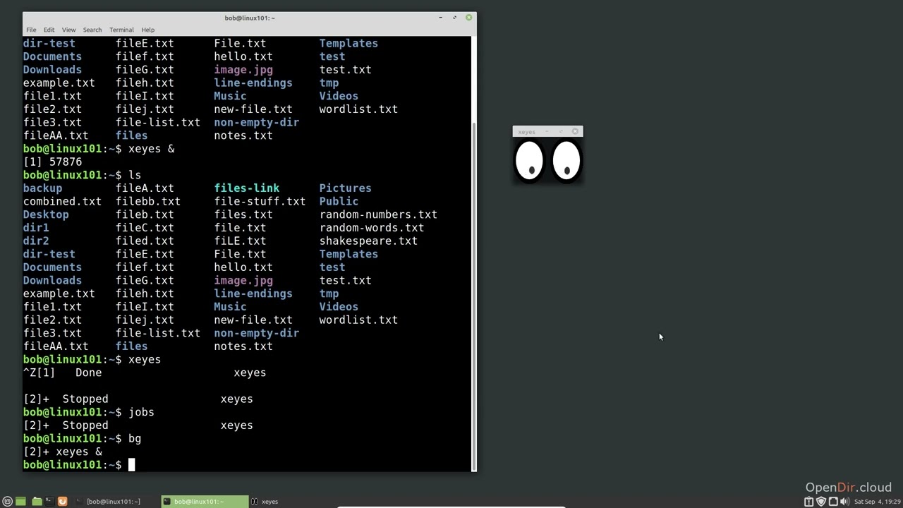 044 Foreground and Background Processes