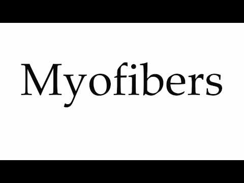 How to Pronounce Myofibers