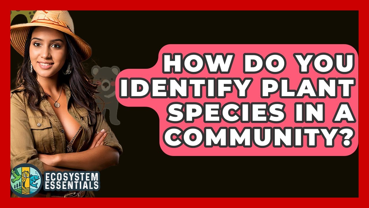 How Do You Identify Plant Species In A Community? - Ecosystem Essentials