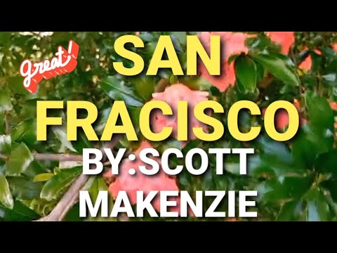 SAN FRANCISCO COVER SONG