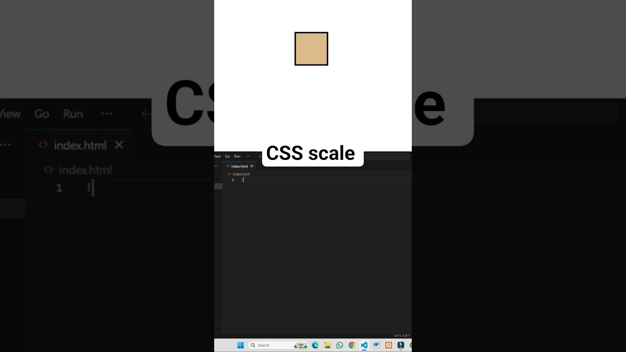 CSS Transform Scale Explained | Code Skillzz