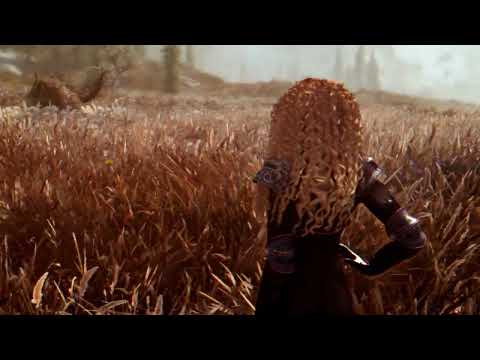 Skyrim Special Edition grass mod - enb and reshade