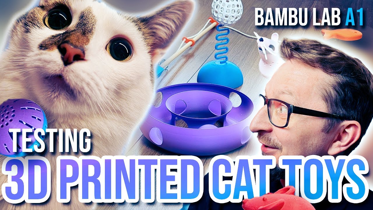 I tested 10 3D printed cat toys w/Muffin #3dprinting