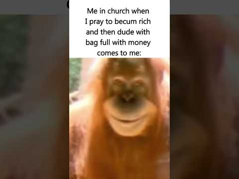 Humanity is doomed!! #money #rich #monkey #meme #memes #joke #bassking #church #bag #pray