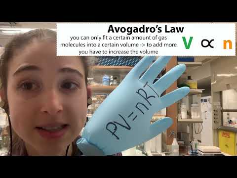 The ideal gas law