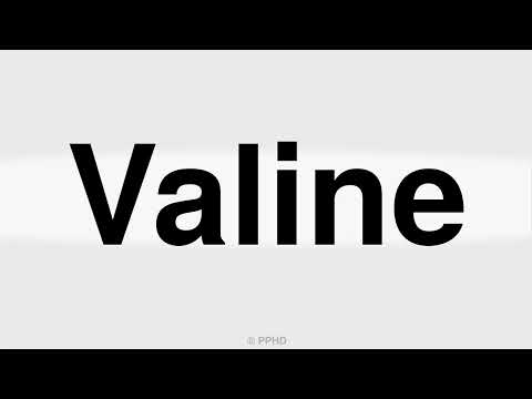 How to Pronounce Valine