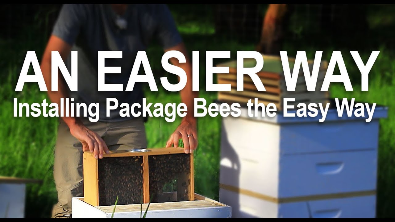Install Package Bees The Easy Way