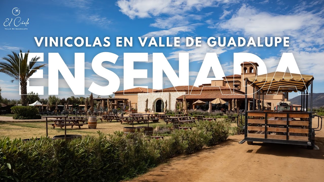 Top 5 Must-See Vineyards in the Guadalupe Valley
