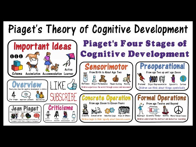 Understanding Piaget S Theory Of Cognitive Development Galaxy Ai