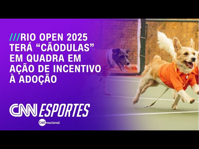 Rio Open 2025 terá “cãodulas“ em quadra em ação de incentivo à adoção ...