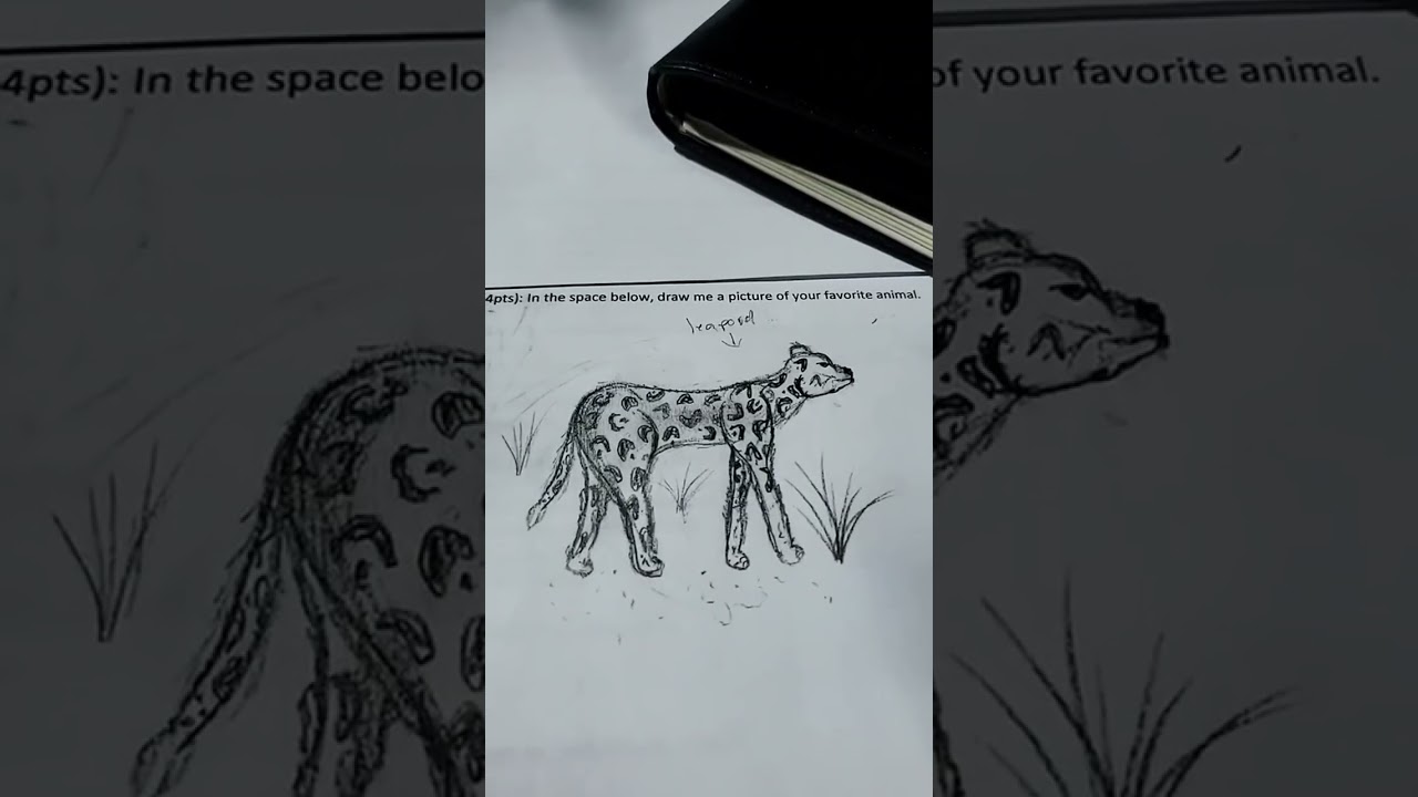 Bonus doodle, part 7! #doodles #art #bonusdoodles #collegelife #professorlife #texastech #techtok