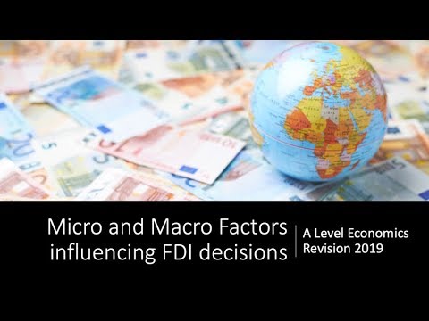 Synoptic Economics: Foreign Investment Decisions