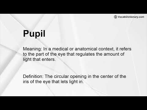 Pupil Meaning
