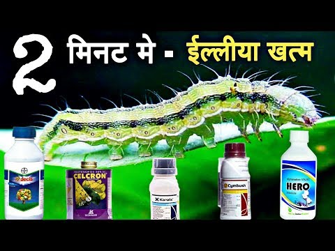 Insecticides - Keetnashak Latest Price, Manufacturers & Suppliers