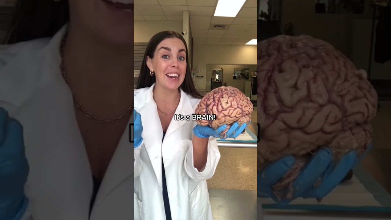 How’d you do? Comment your score! #anatomy #humanbody #science #scienceteacher #education #organs