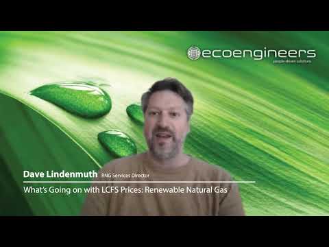 EcoInsights: What's Going on with LCFS Prices?
